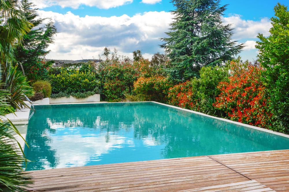 Building Your Dream Swimming Pool in South Africa: Navigating the ...